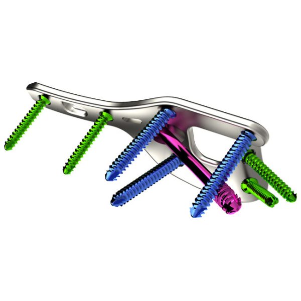 Lower Extremity | Extremity Medical