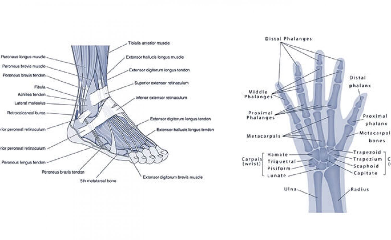 Extremity Medical